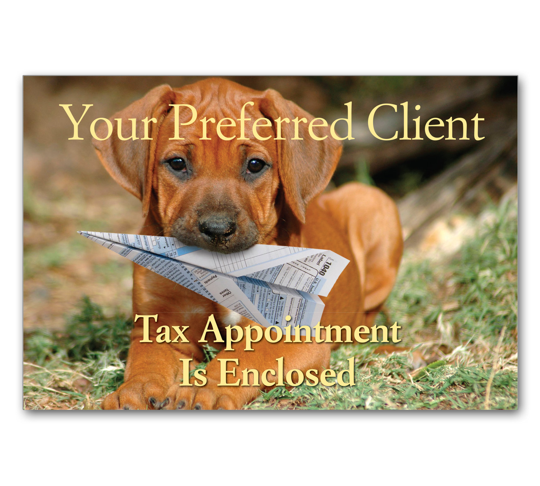 Preferred Client Tax Appointment Mailer (25/pkg) - imprinted - Item ...
