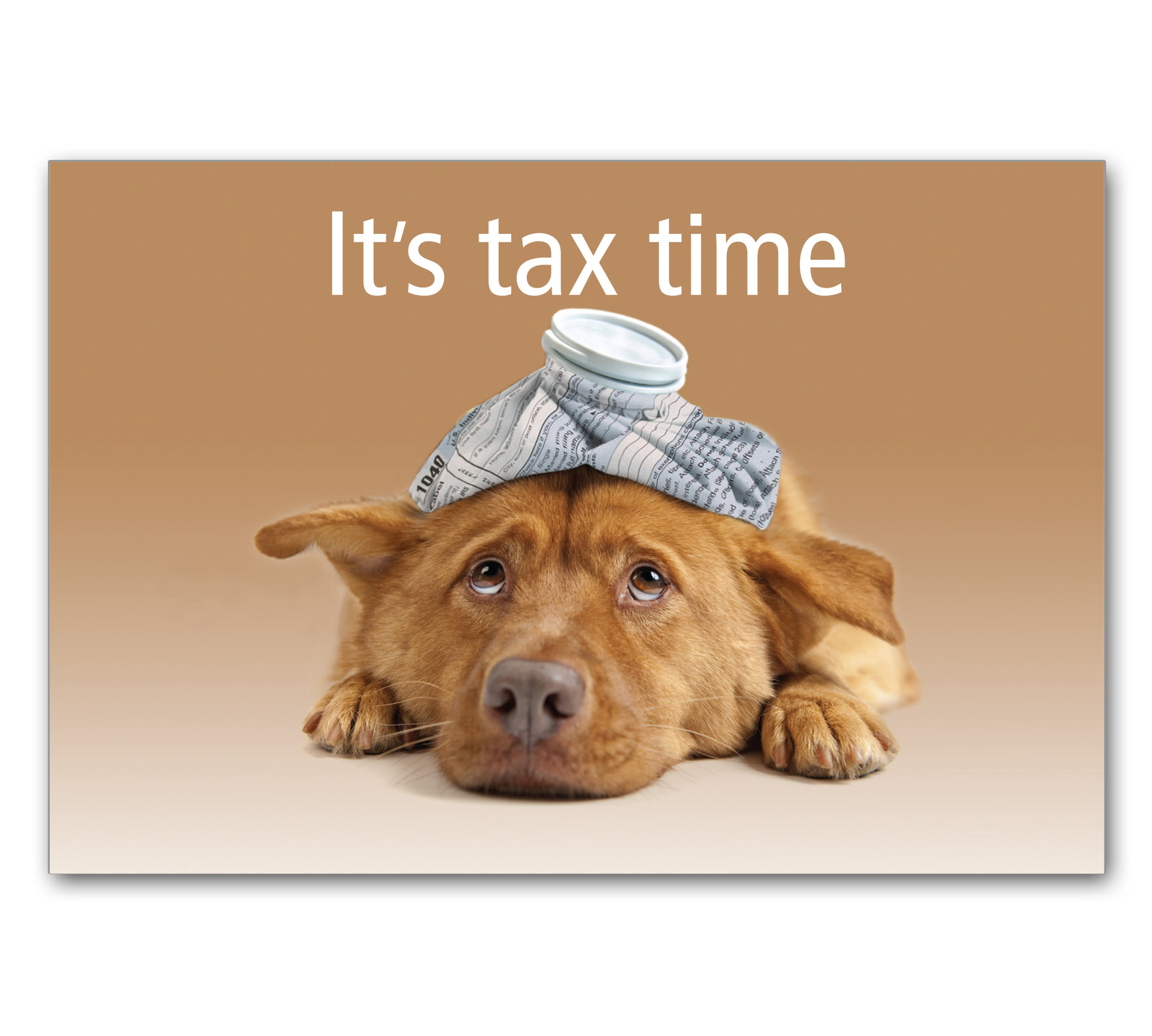 1040 Dog: It's tax time postcard (25/pack) - Item: #70-565