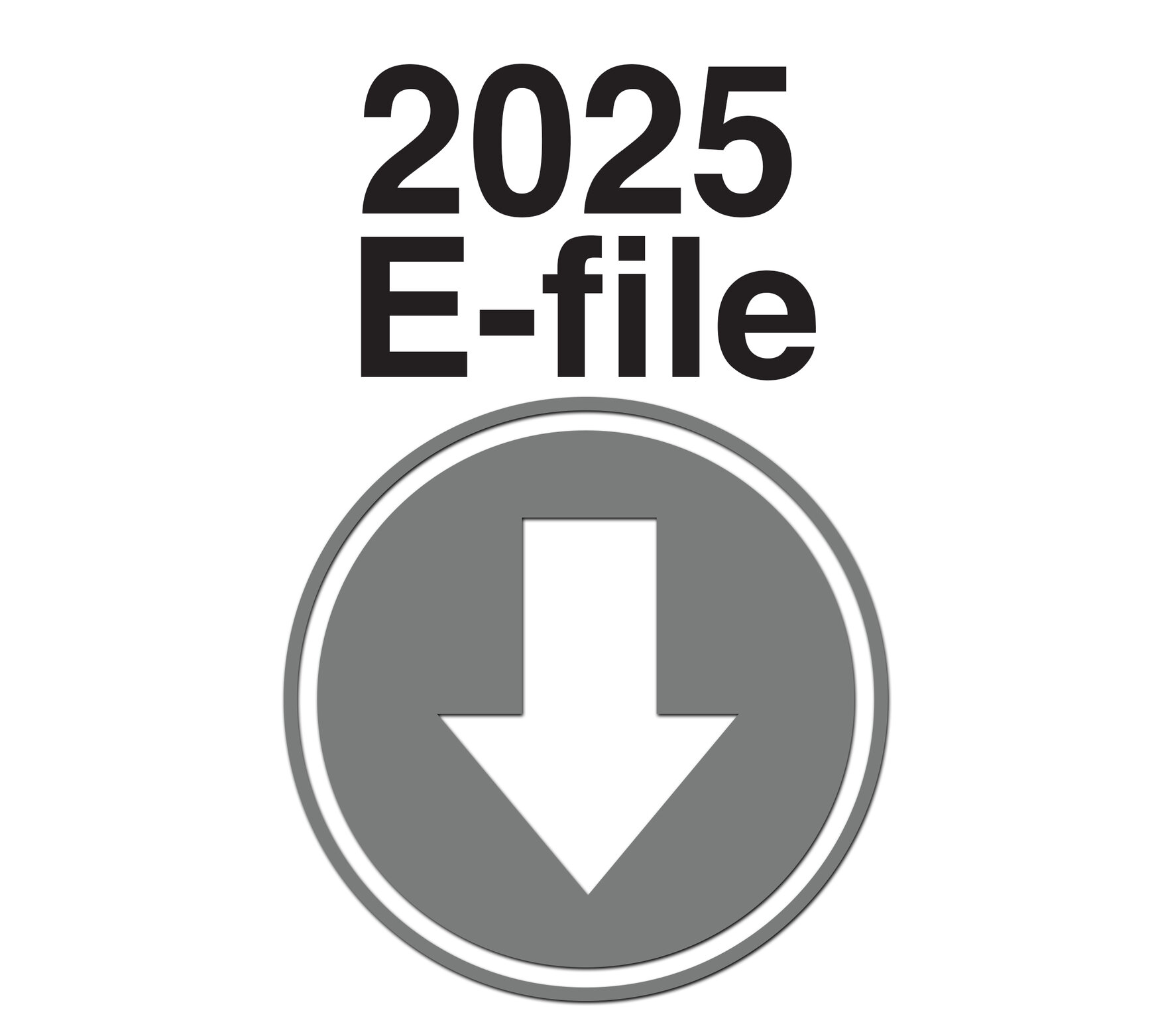 Tax-Aid Eagle View Software: Laser Link 20.25 with E-file (Downloadable ...